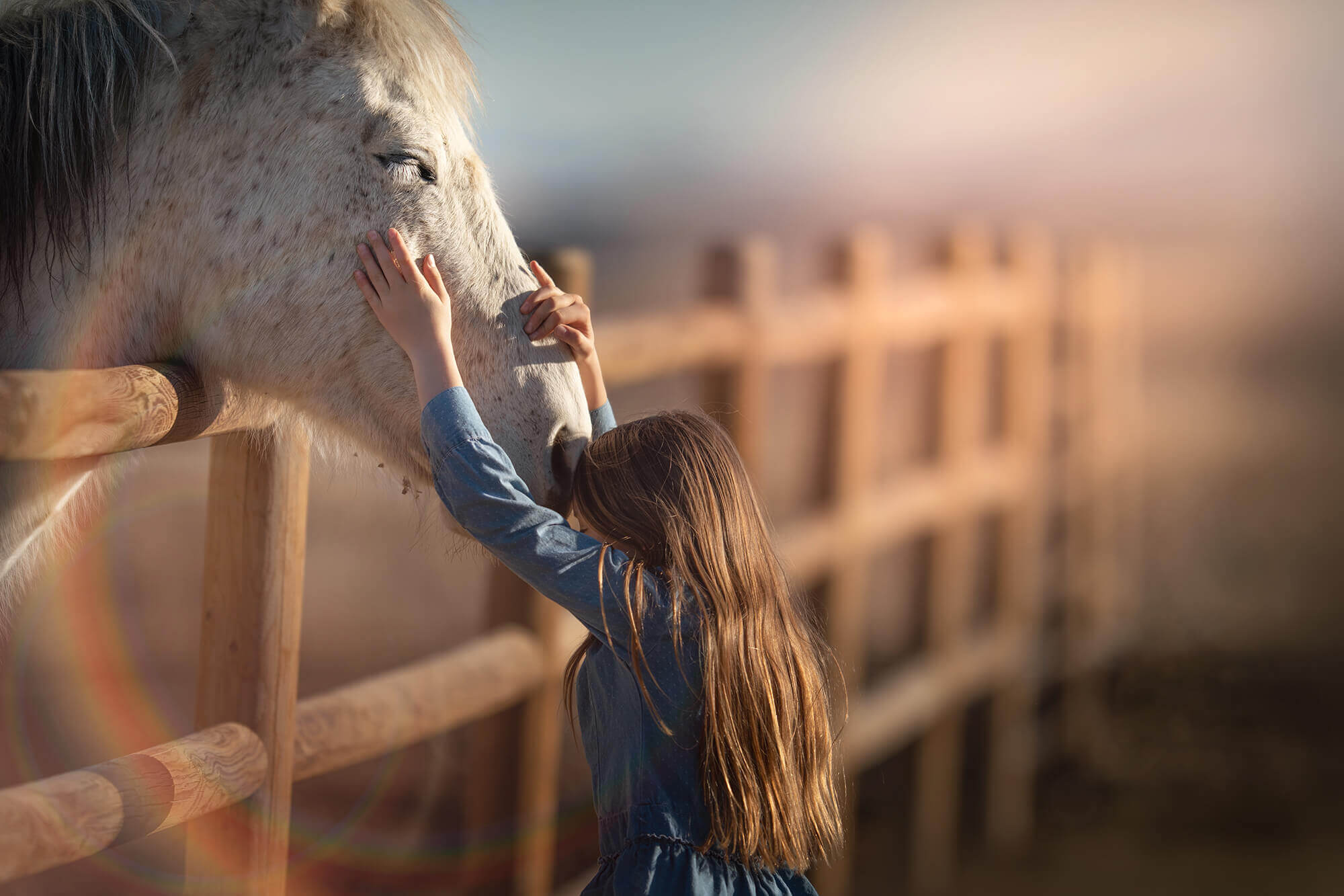 Boulder Children Photography - Smitten & Swoon